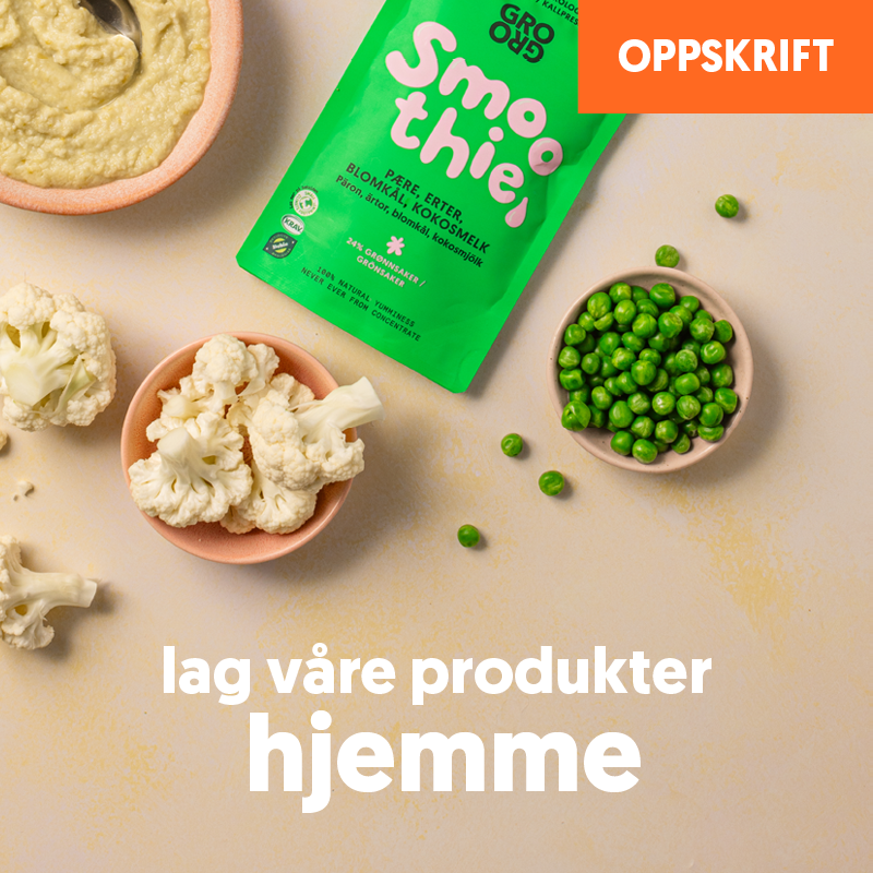 Oppskrifter på GroGro – GroGro & Møtsch